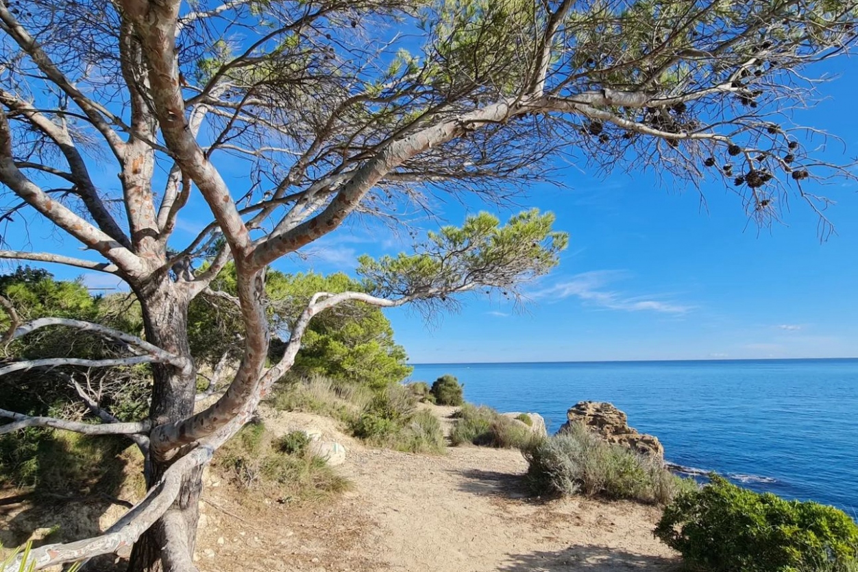 Guide to Javea Walks: Cap Prim SL - CV 98 | Costa Blanca Guide to ...